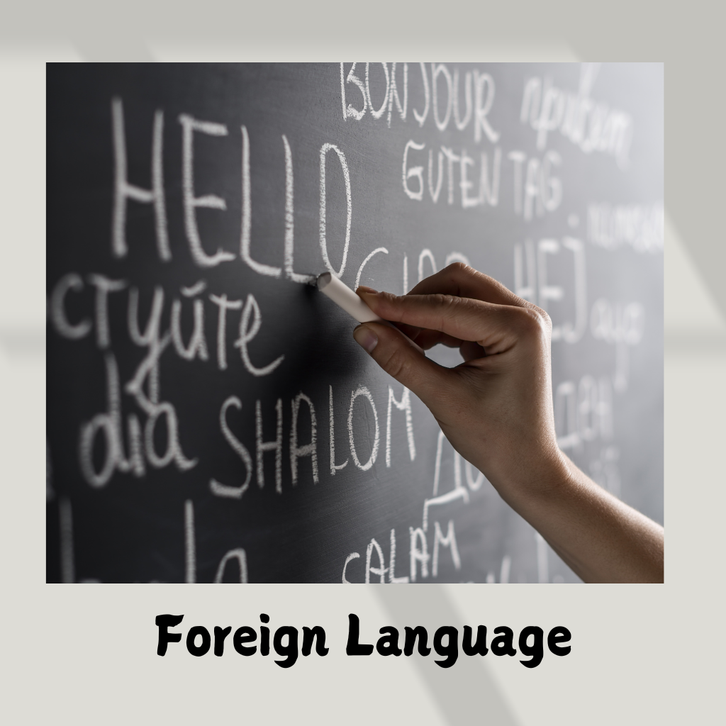Fun & Interactive Foreign Language Learning Tools